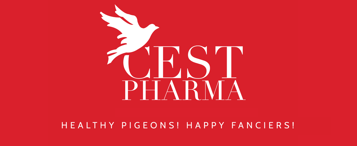 CEST PHARMA – ZajilStore