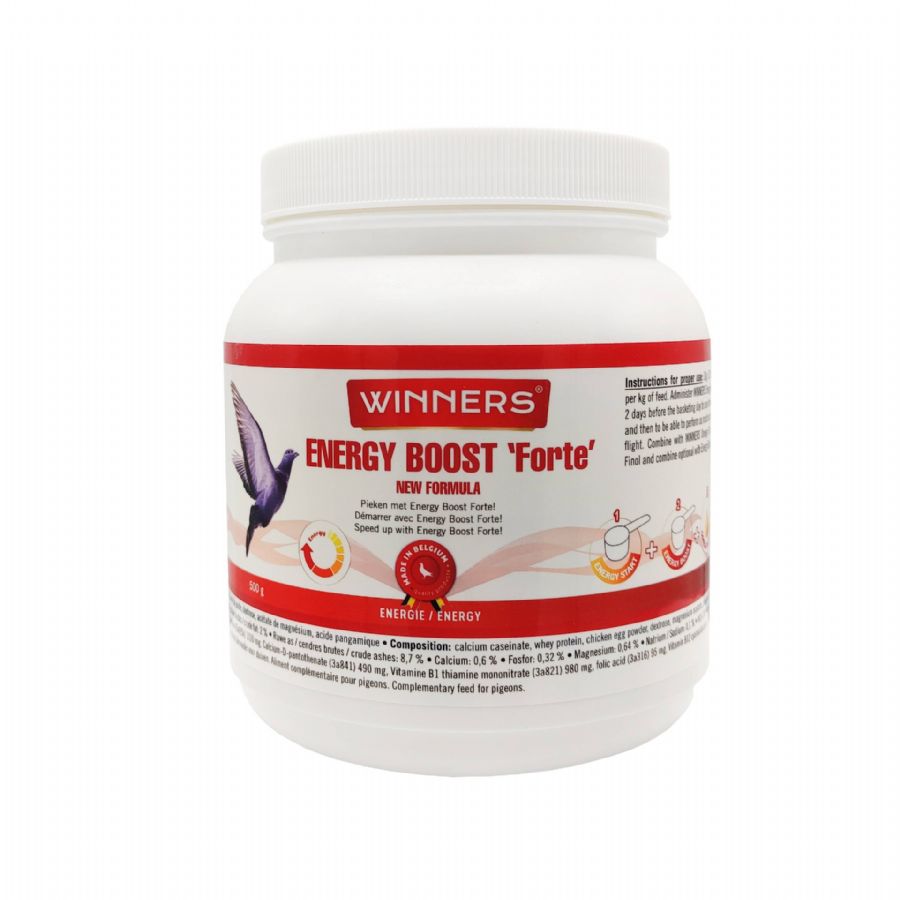 Energy Boost Forte 500grams – ZajilStore