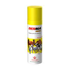 DERMA AEROSOL SPRAY 200ML – ZajilStore